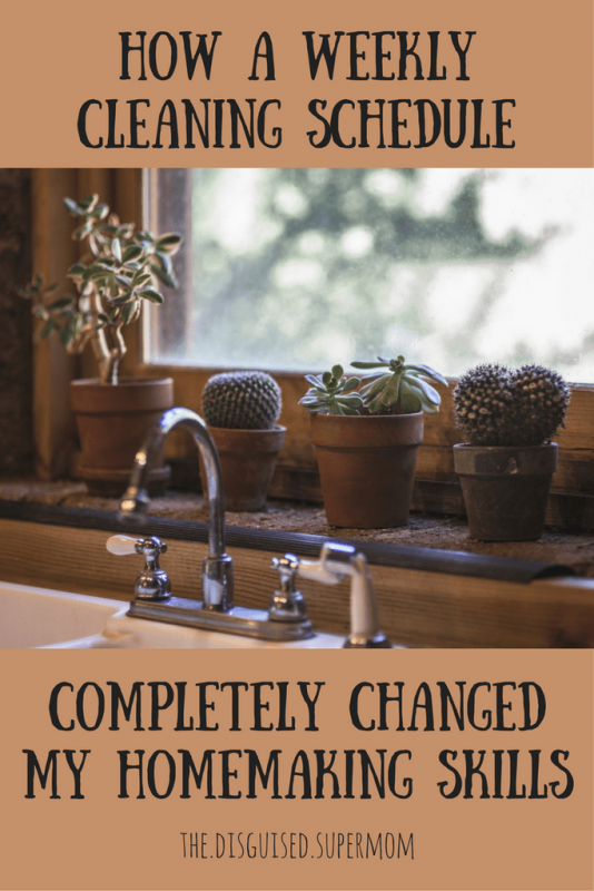 9 DIY Spring Cleaning Tips and Tricks - Make and Takes