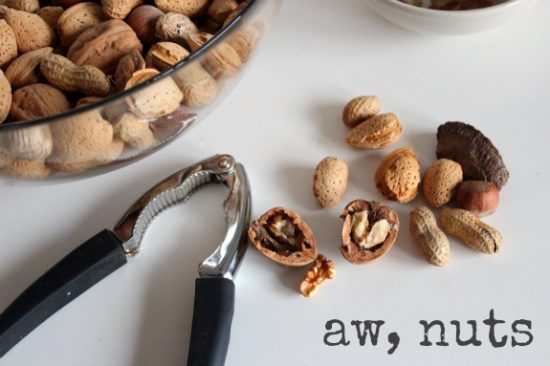 Holiday ABC Series: N is for Nuts - Make and Takes
