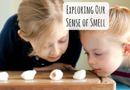 Exploring Our 5 Senses: Smell - Make and Takes