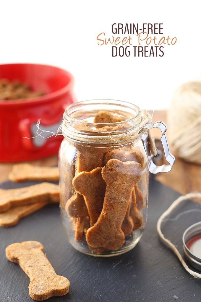 22 DIY Dog Treats Your Pup Will Love - Make and Takes