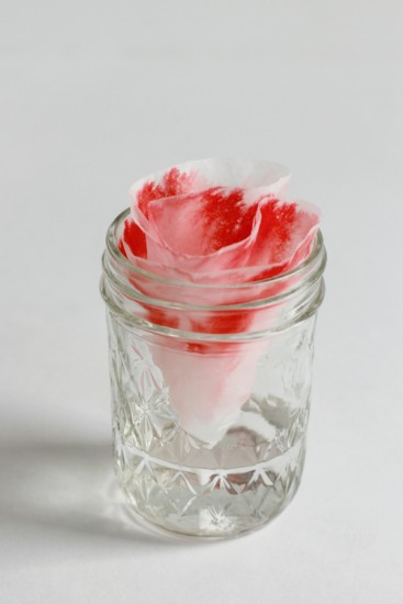 Rainbow Marker Coffee Filter Experiment - Make and Takes