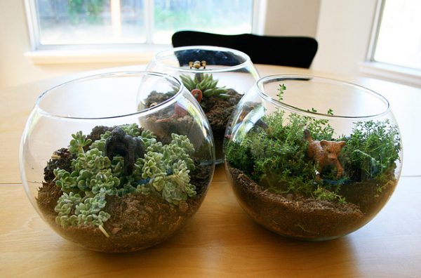 Make a Kid-Friendly Terrarium - Make and Takes