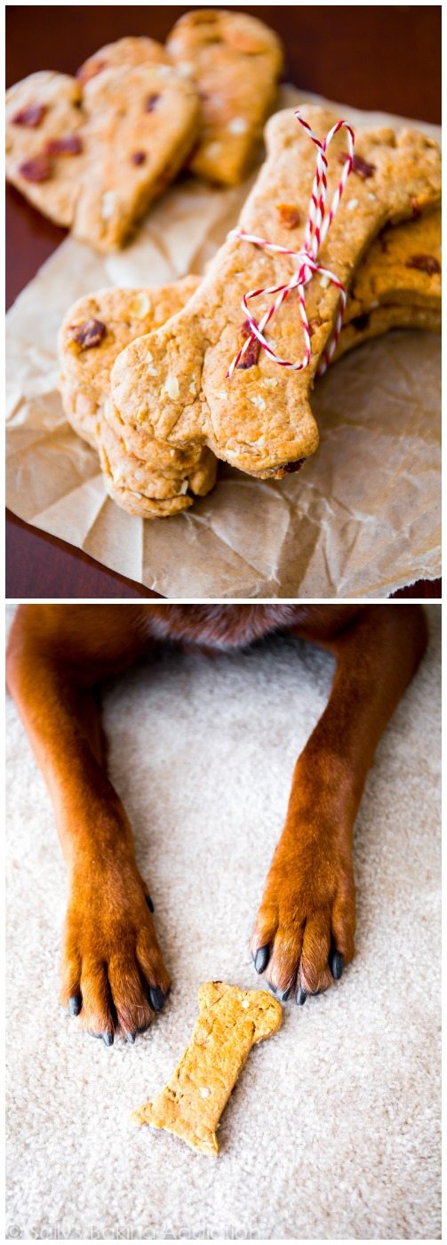 22 DIY Dog Treats Your Pup Will Love - Make and Takes