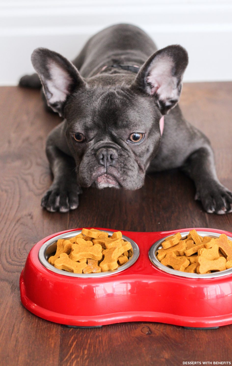 22 DIY Dog Treats Your Pup Will Love - Make and Takes