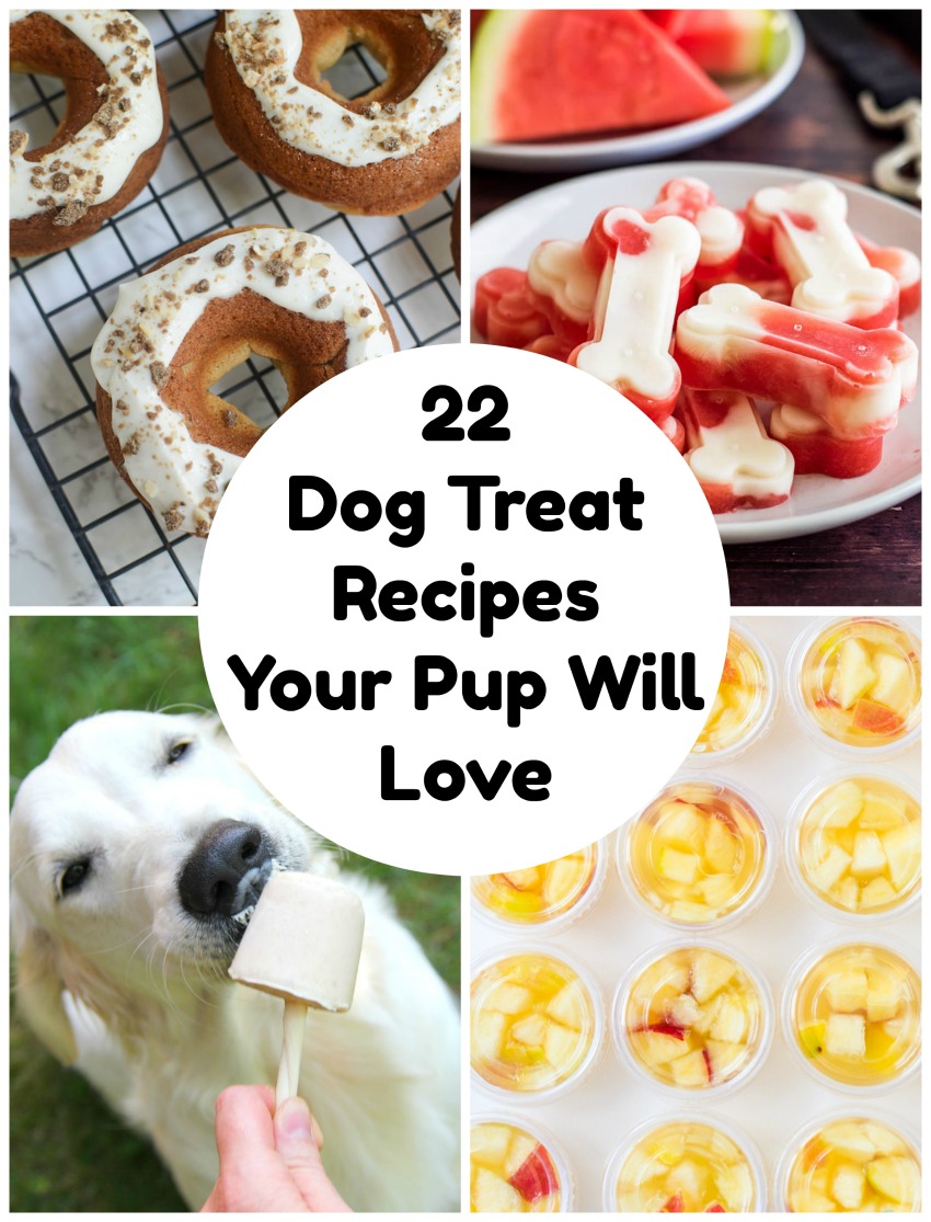 22 DIY Dog Treats Your Pup Will Love - Make and Takes