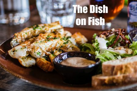 The Dish on Sustainable Fish - Make and Takes