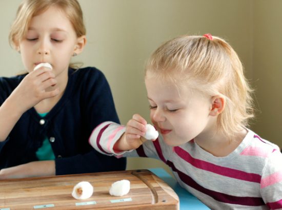 Exploring Our 5 Senses: Smell - Make and Takes