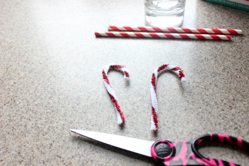 Crystal Candy Cane Science - Make and Takes