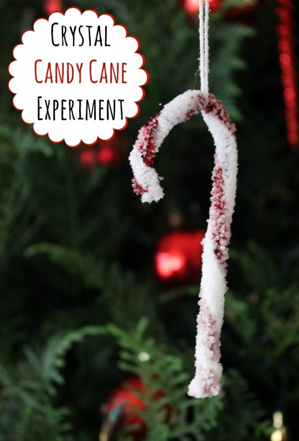 Crystal Candy Cane Science - Make and Takes