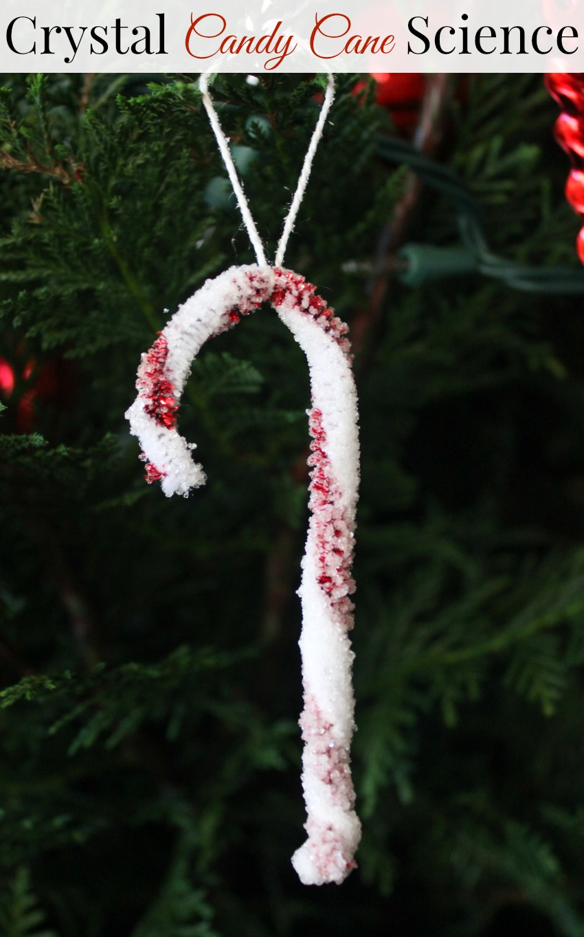 Crystal Candy Cane Science - Make and Takes