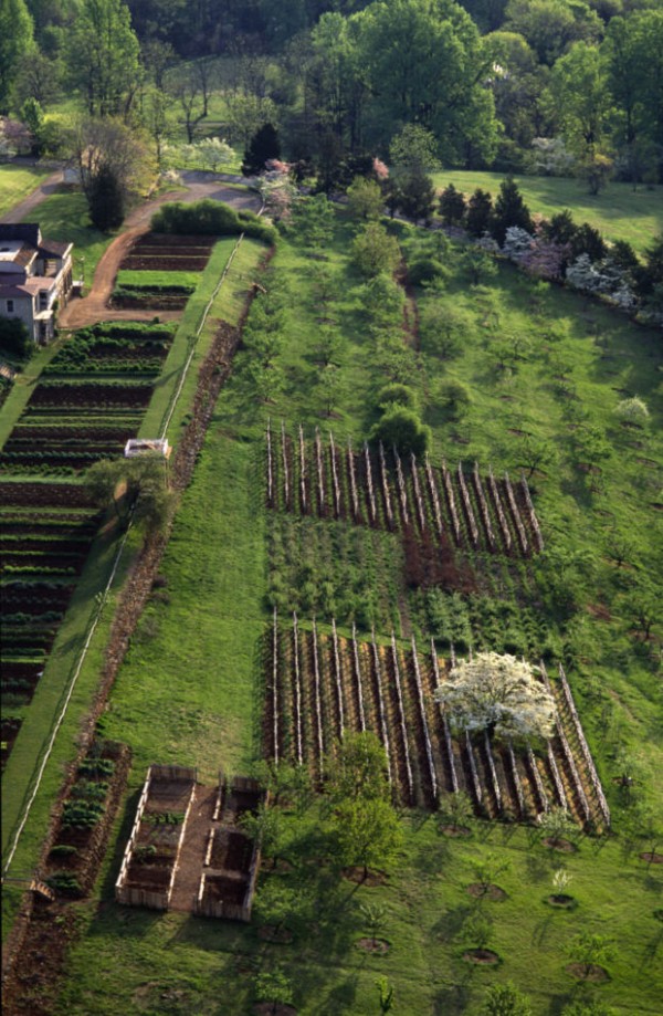 Favorite Foods of the U.S. Presidents - Make and Takes